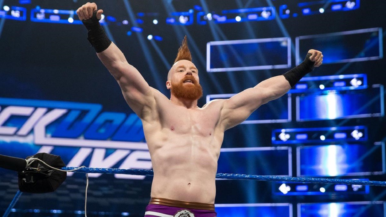 Sheamus Commits To His Partner - JGuru