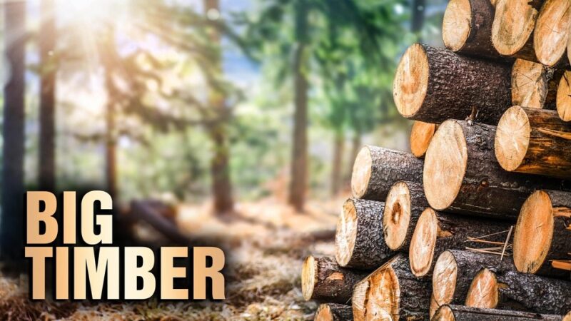 Big Timber 第 2 季：发布日期、演员阵容以及我们所知道的一切 - JGuru