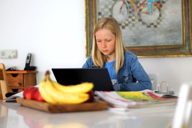 8 Voordele van Aanlyn Leer - JGuru